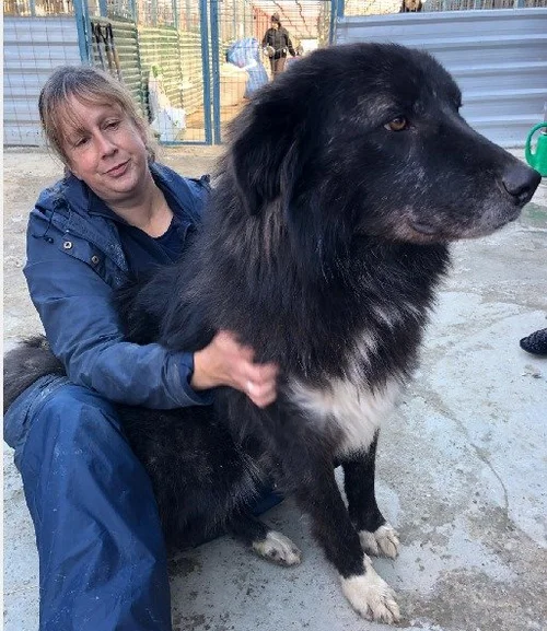 Meet the team | Meet Our Expert Team — Tarka Vets