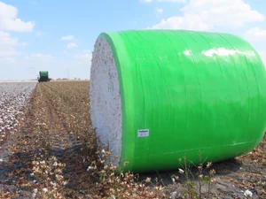 Wester Green | Enhance Your Agriculture Today