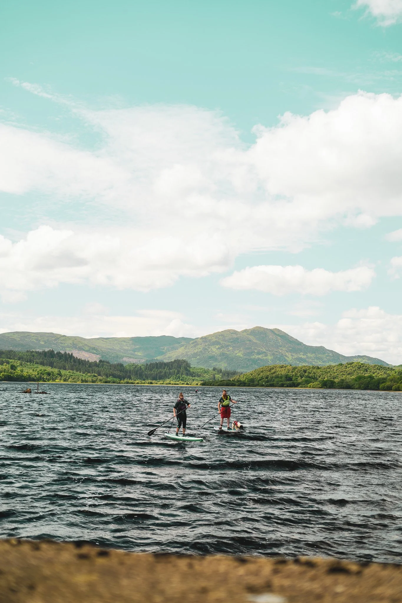 Wild Sauna and Cold Plunge with a Breathtaking View — Venachar Lochside