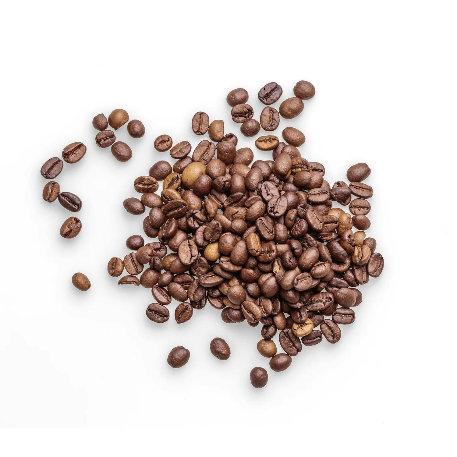 Serafina Coffee Roasters | Discover Fresh Coffee Today