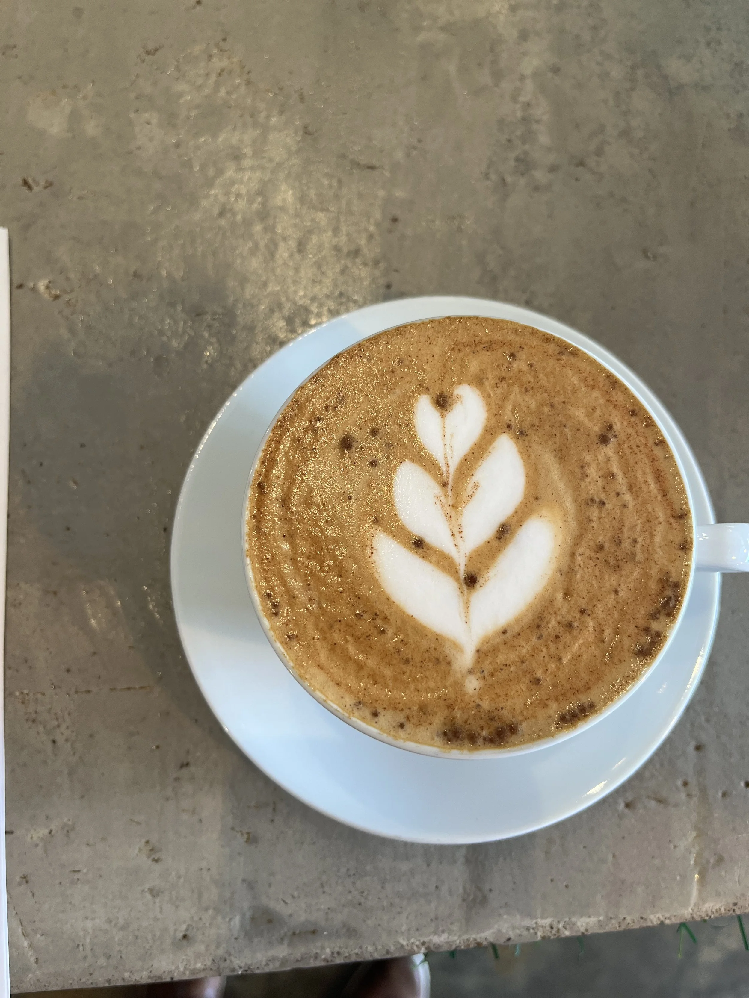 Serafina Coffee Roasters | Discover Fresh Coffee Today