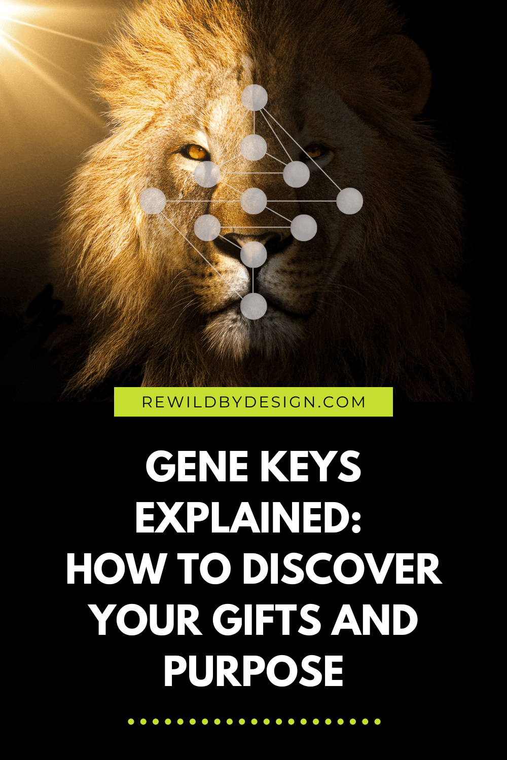 Gene Keys Explained — rewild by design