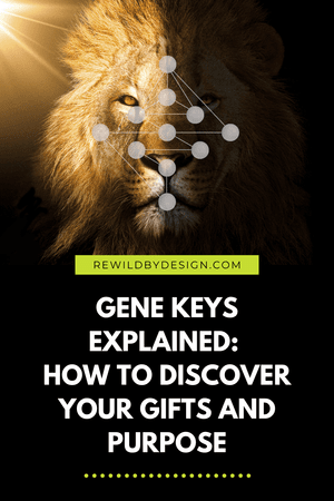 Gene Keys Explained — rewild by design