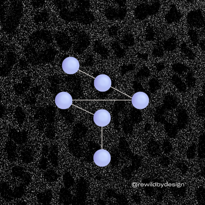 Gene Keys Explained — rewild by design