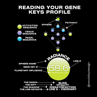 Gene Keys Explained — rewild by design