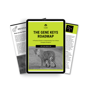 Gene Keys Explained — rewild by design