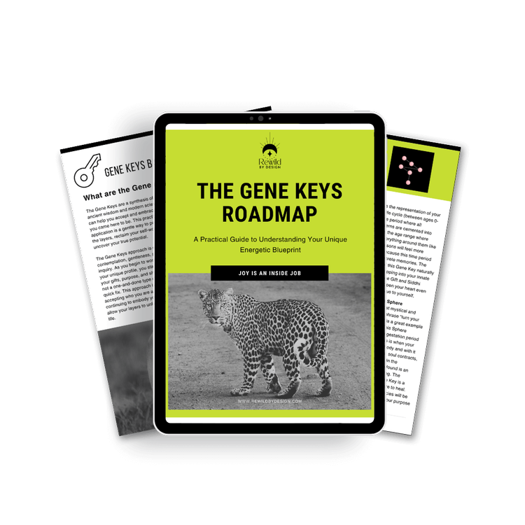 Gene Keys Explained — rewild by design