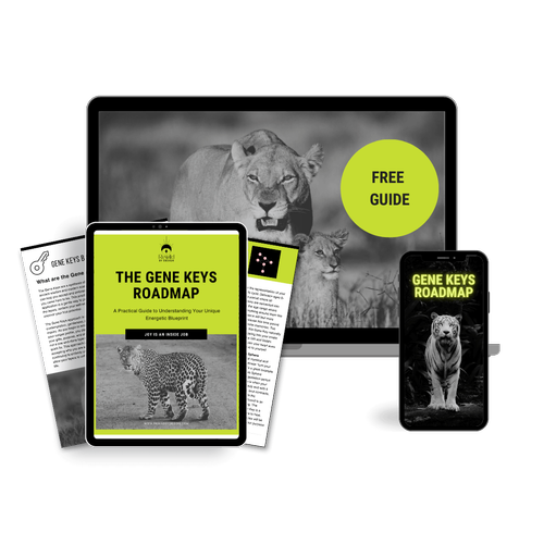 Gene Keys Explained — rewild by design