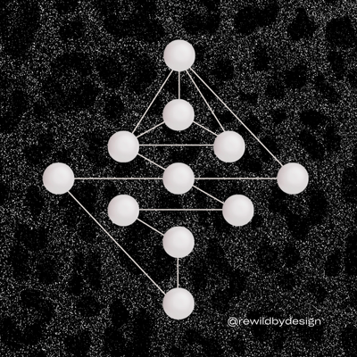 Gene Keys Explained — rewild by design