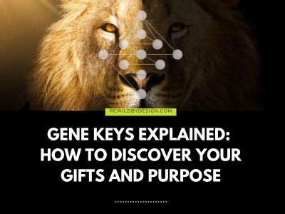 Gene Keys Explained — rewild by design