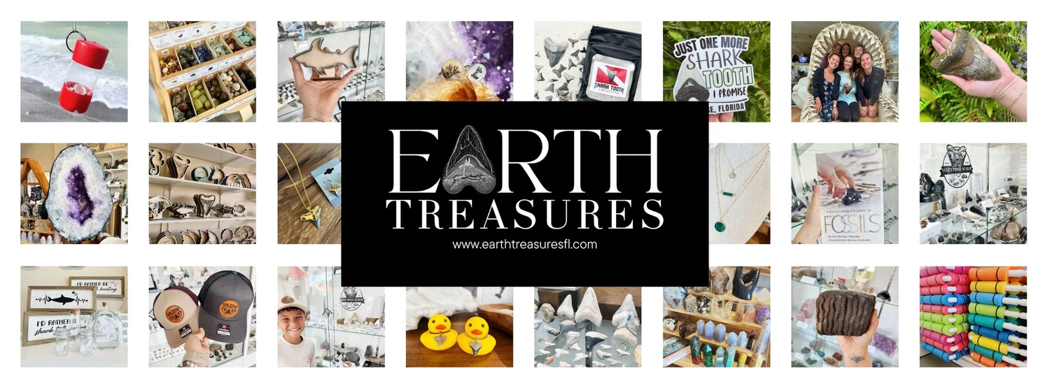 EARTH TREASURES - VENICE, FLORIDA