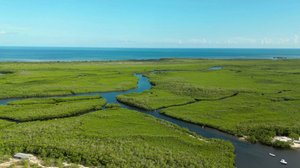 By Laws | Join Our Construction Licensing Community Today ...