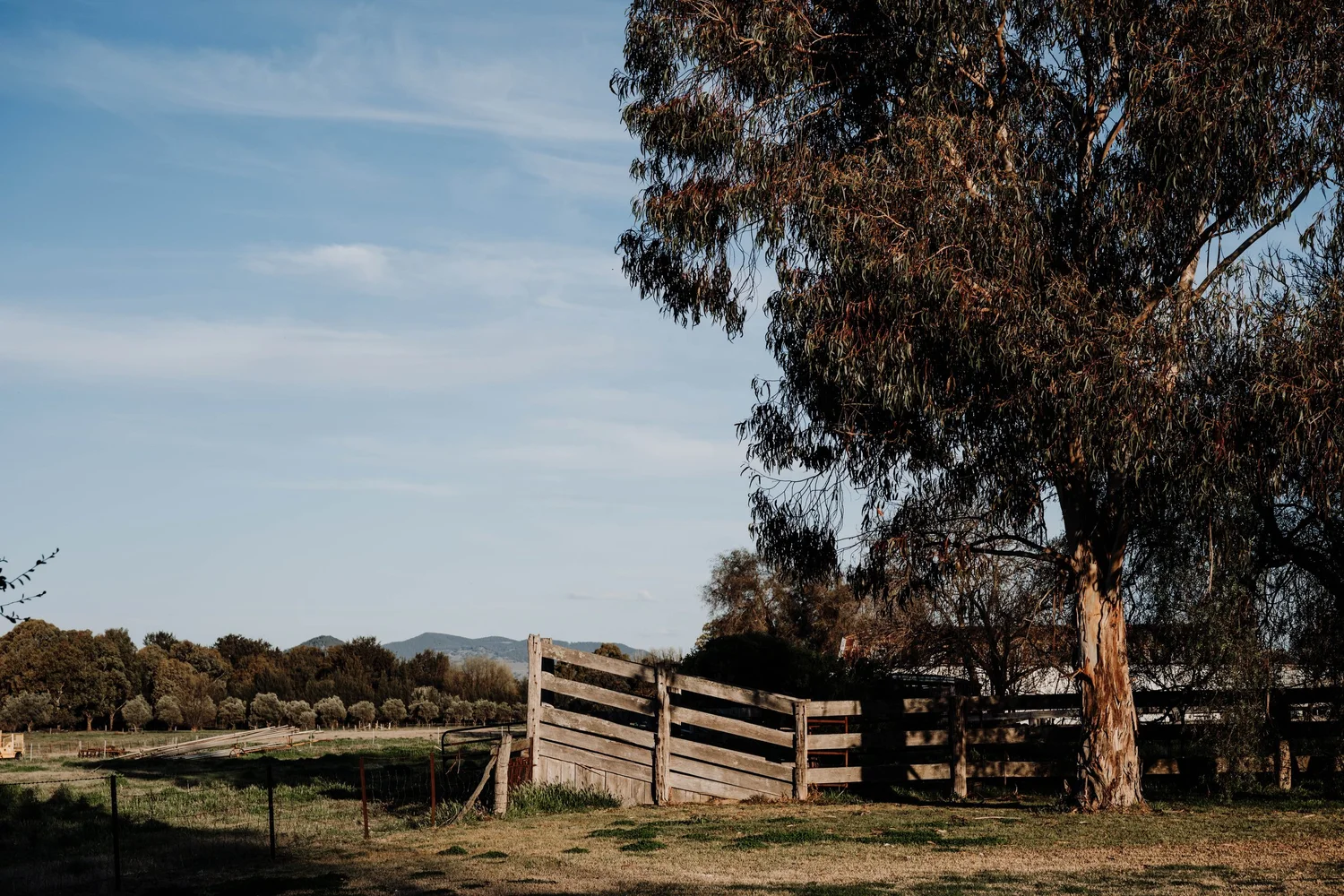 Beautifully Renovated Motel in Mudgee | The Cudgee at Mudgee