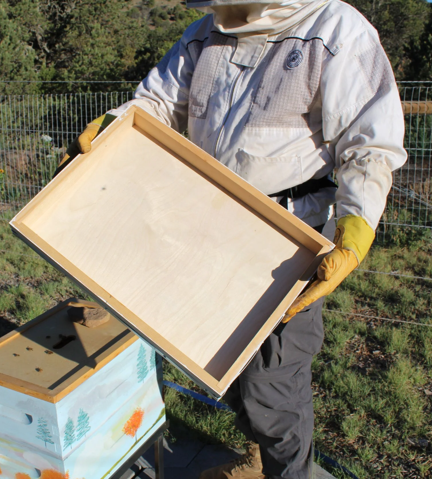 Langstroth Beehive Guide for Beginners: Box Sizes, Frames & Climate Tips