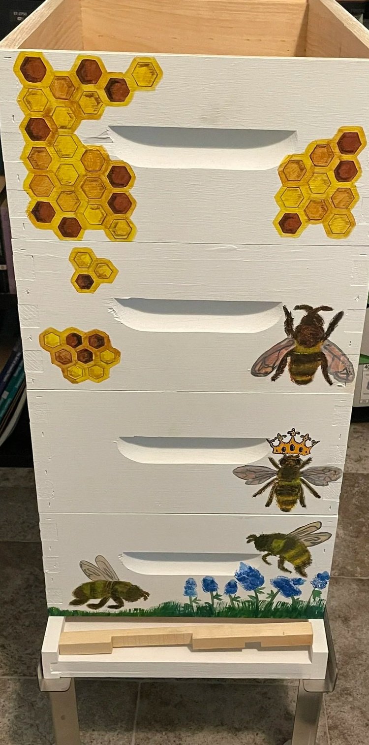 Langstroth Beehive Guide for Beginners: Box Sizes, Frames & Climate Tips