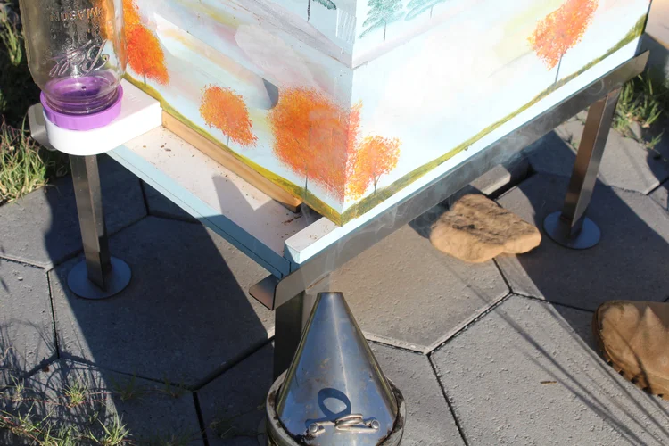 Langstroth Beehive Guide for Beginners: Box Sizes, Frames & Climate Tips