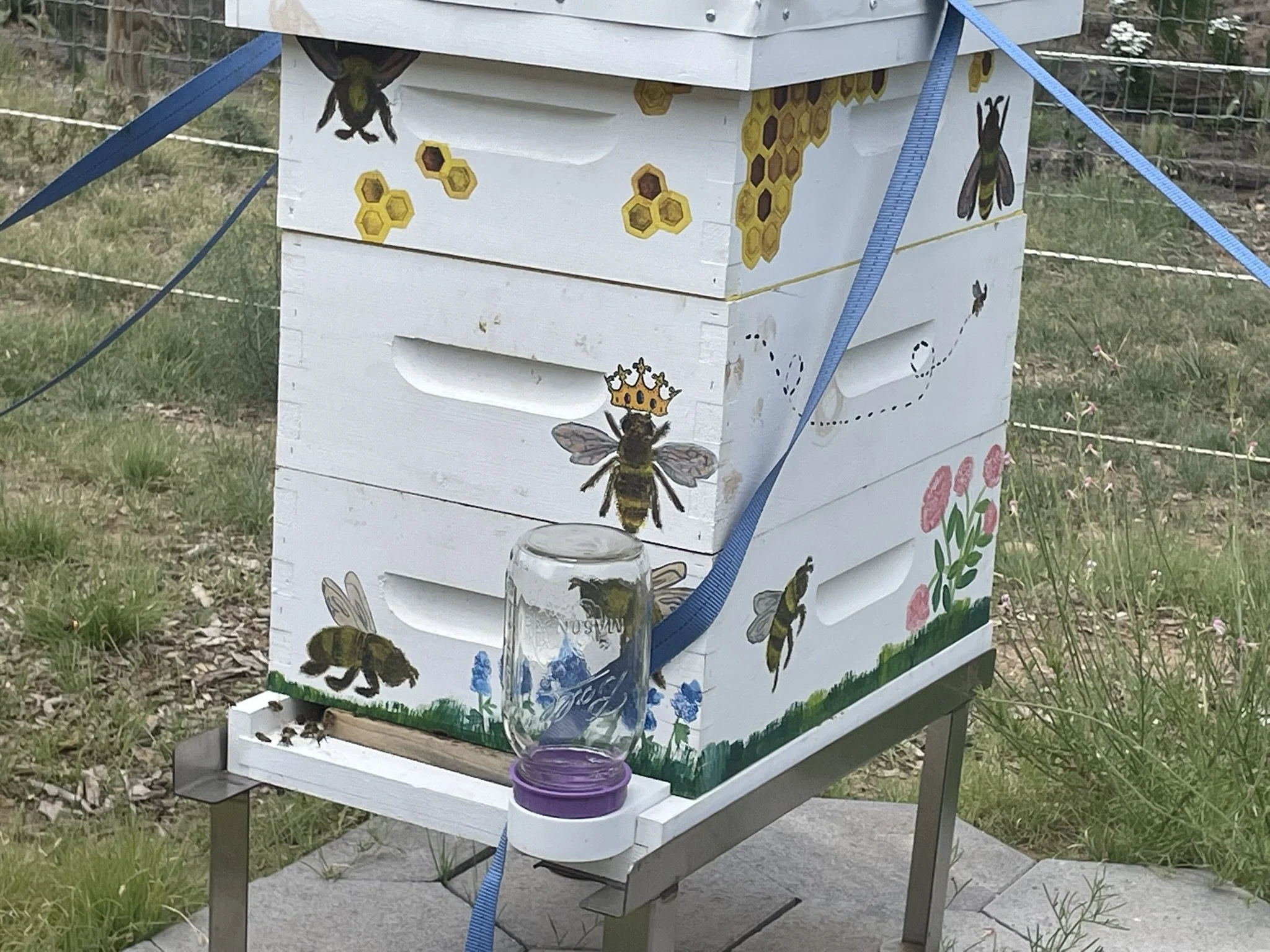 Beekeeping Terms for Beginners: Complete A–Z Glossary