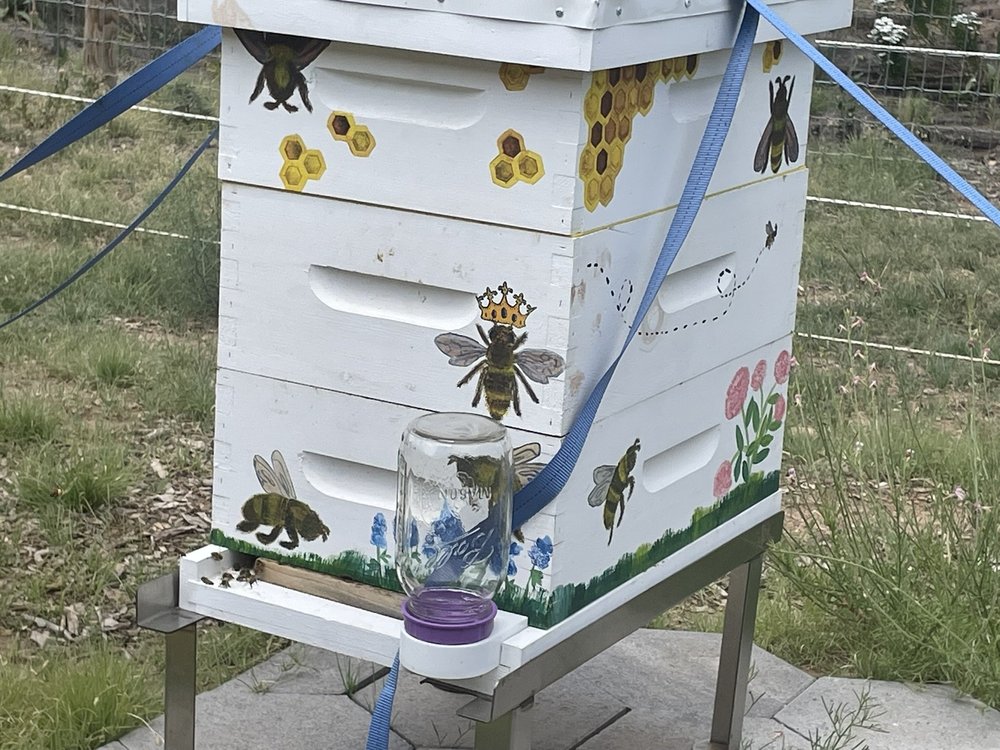 Beekeeping Terms for Beginners: Complete A–Z Glossary