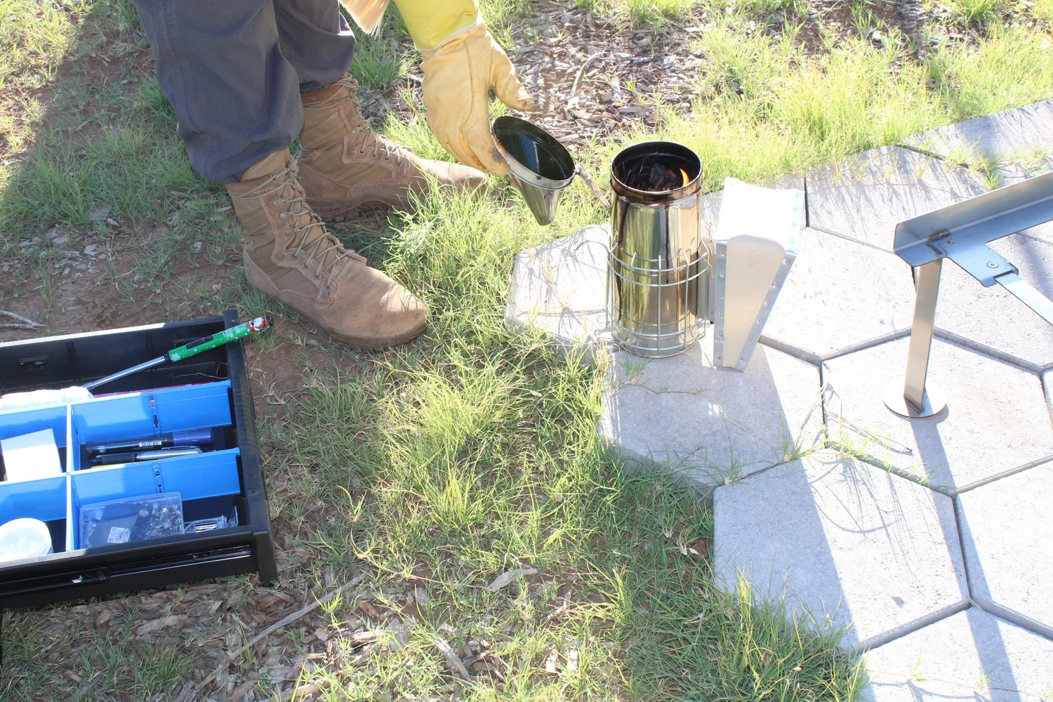 Langstroth Beehive Guide for Beginners: Box Sizes, Frames & Climate Tips