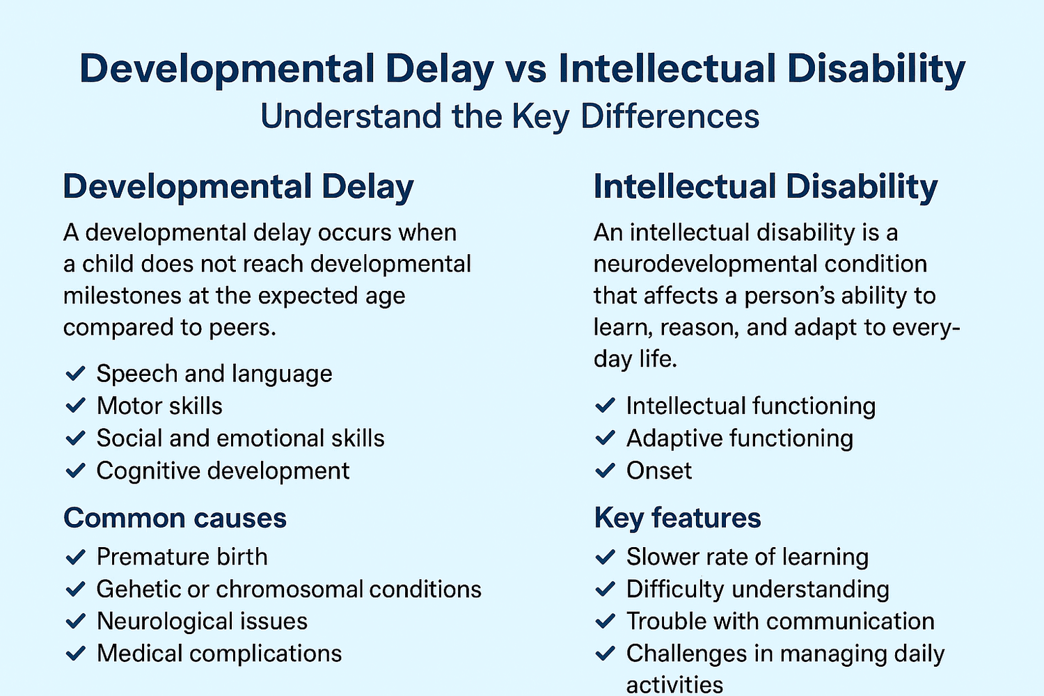 Developmental Delay Vs Intellectual Disability — ElevateAbility