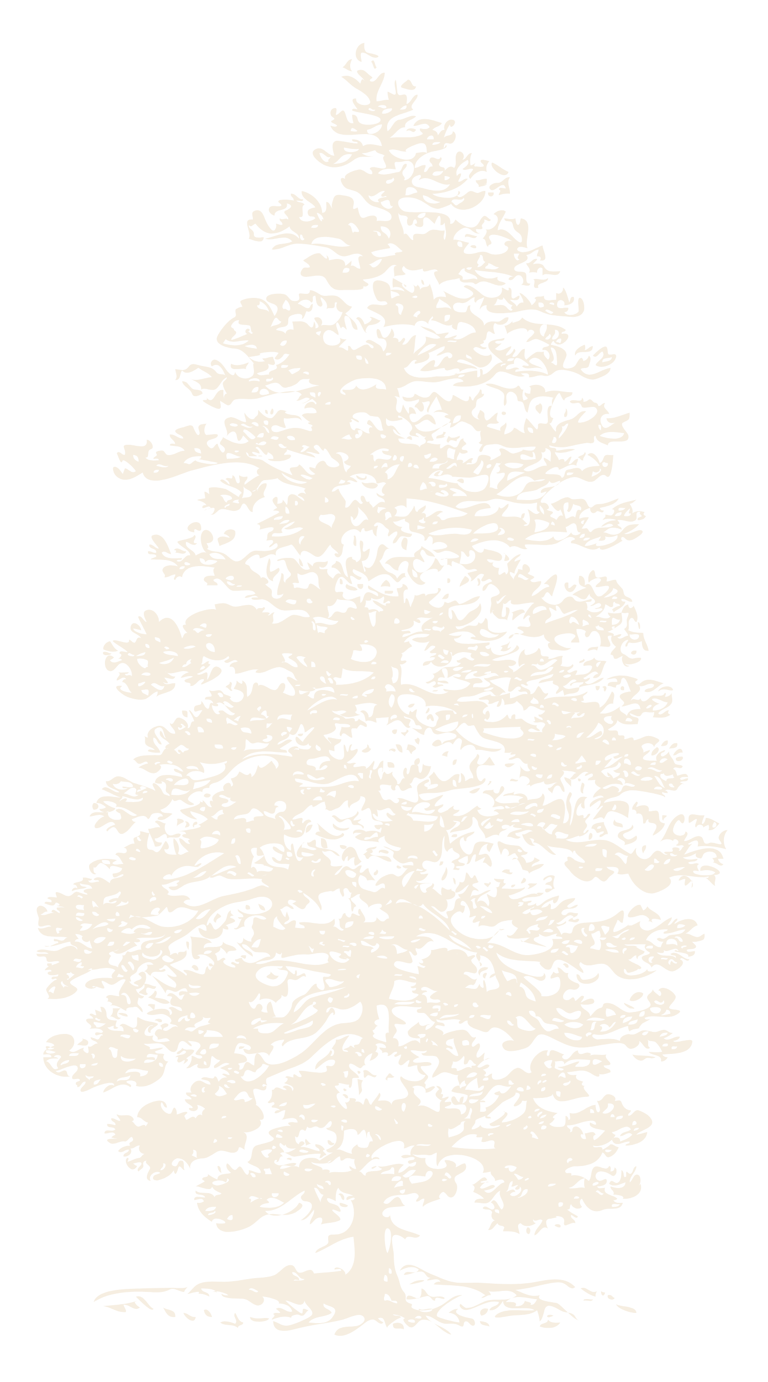 J.J. Propane | Propane Delivery Near Me | Propane Tank Rental in ...