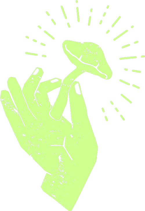 Mushrooms Reimagined | Fable Food for Home Cooks — Fable Food Co