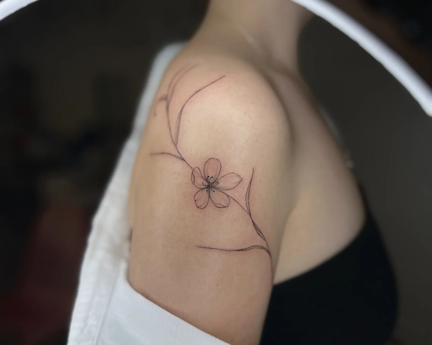 Dainty Garden Ink - Fine Line Tattoo Studio Christchurch