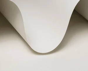 Paper Source