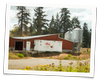 Wilcox Family Farms | Since 1909 | Discover Quality Eggs - Shop Now