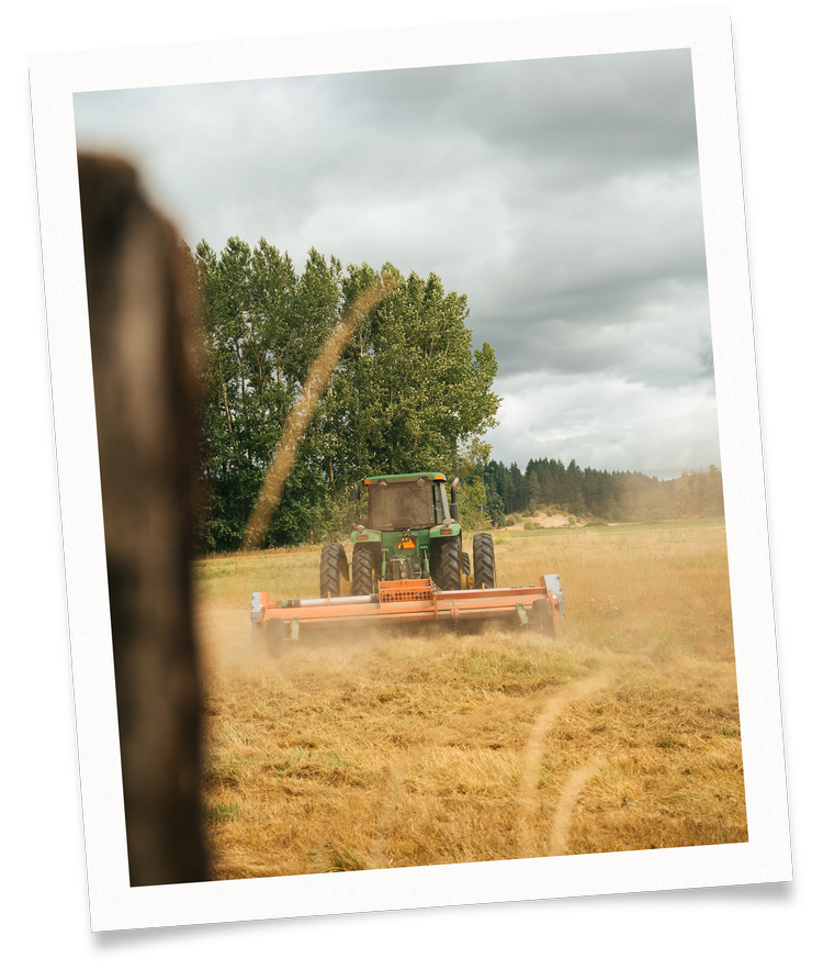 Wilcox Family Farms | Since 1909 | Discover Quality Eggs - Shop Now