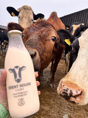 Brent House Farm Shop