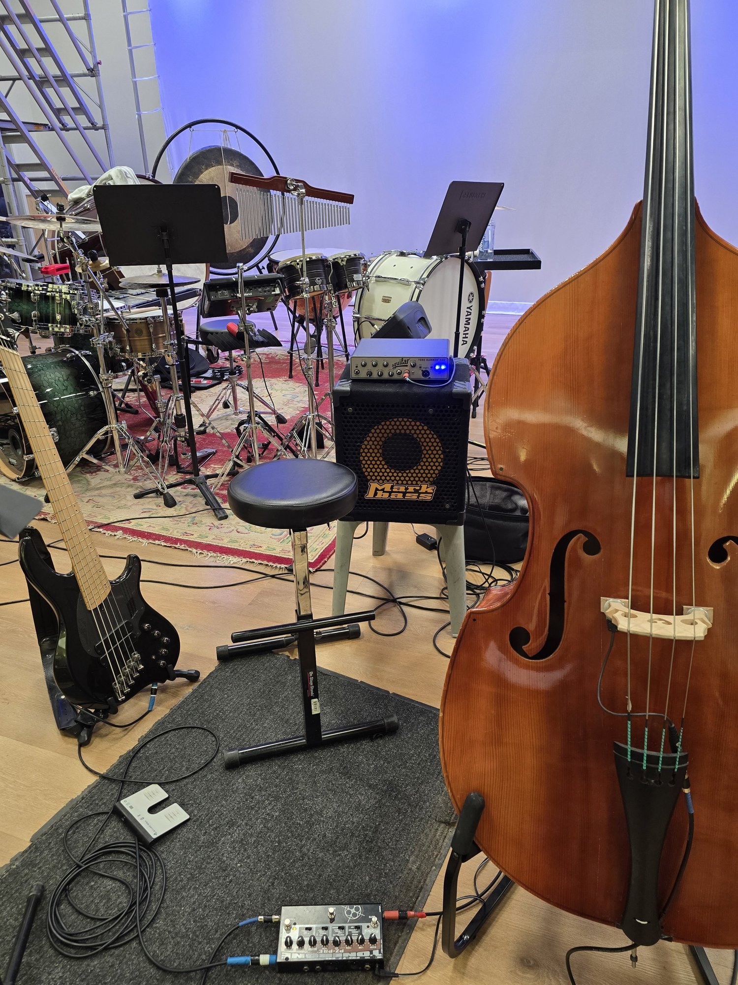 How to Play Bass in Musicals: Pit Tips, Prep & Gear — Canopy Music School