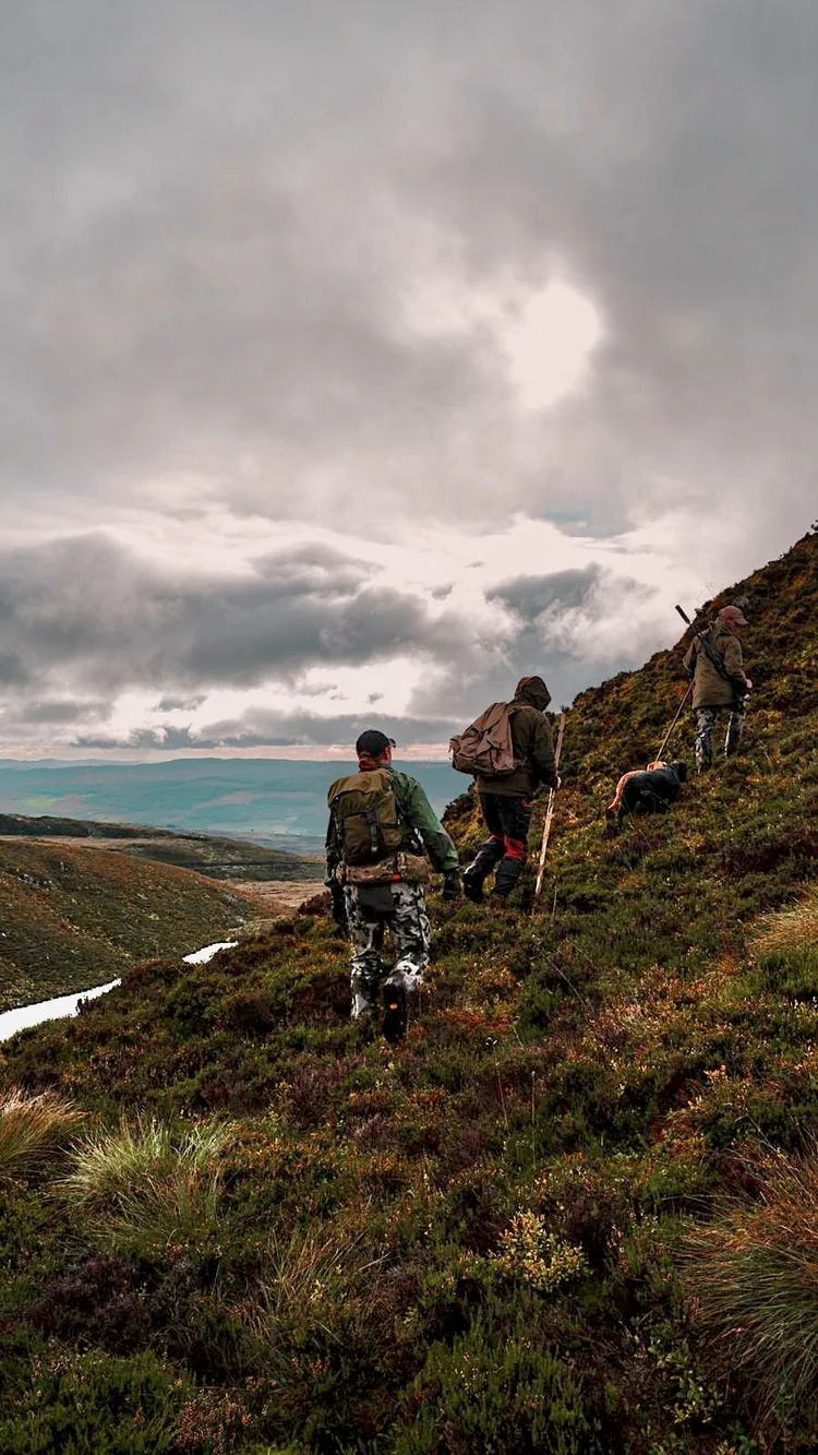 Red Stag Hunting in Scotland | Guided Highland Stalking Trips ...