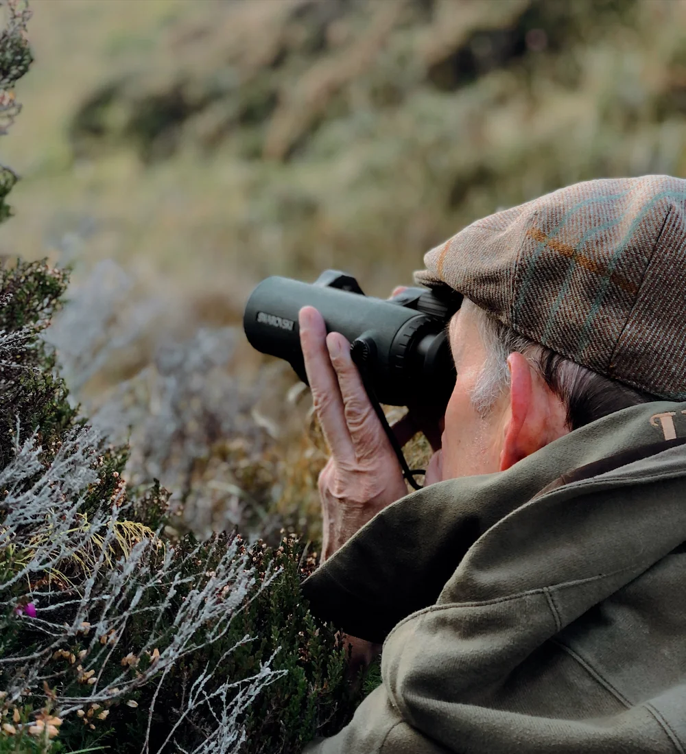 Red Stag Hunting in Scotland | Guided Highland Stalking Trips ...