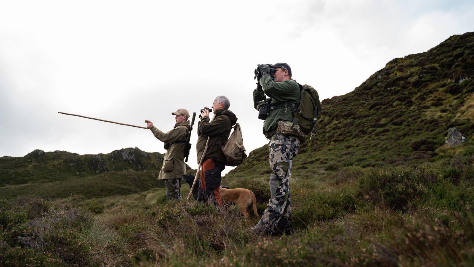 Red Stag Hunting in Scotland | Guided Highland Stalking Trips ...