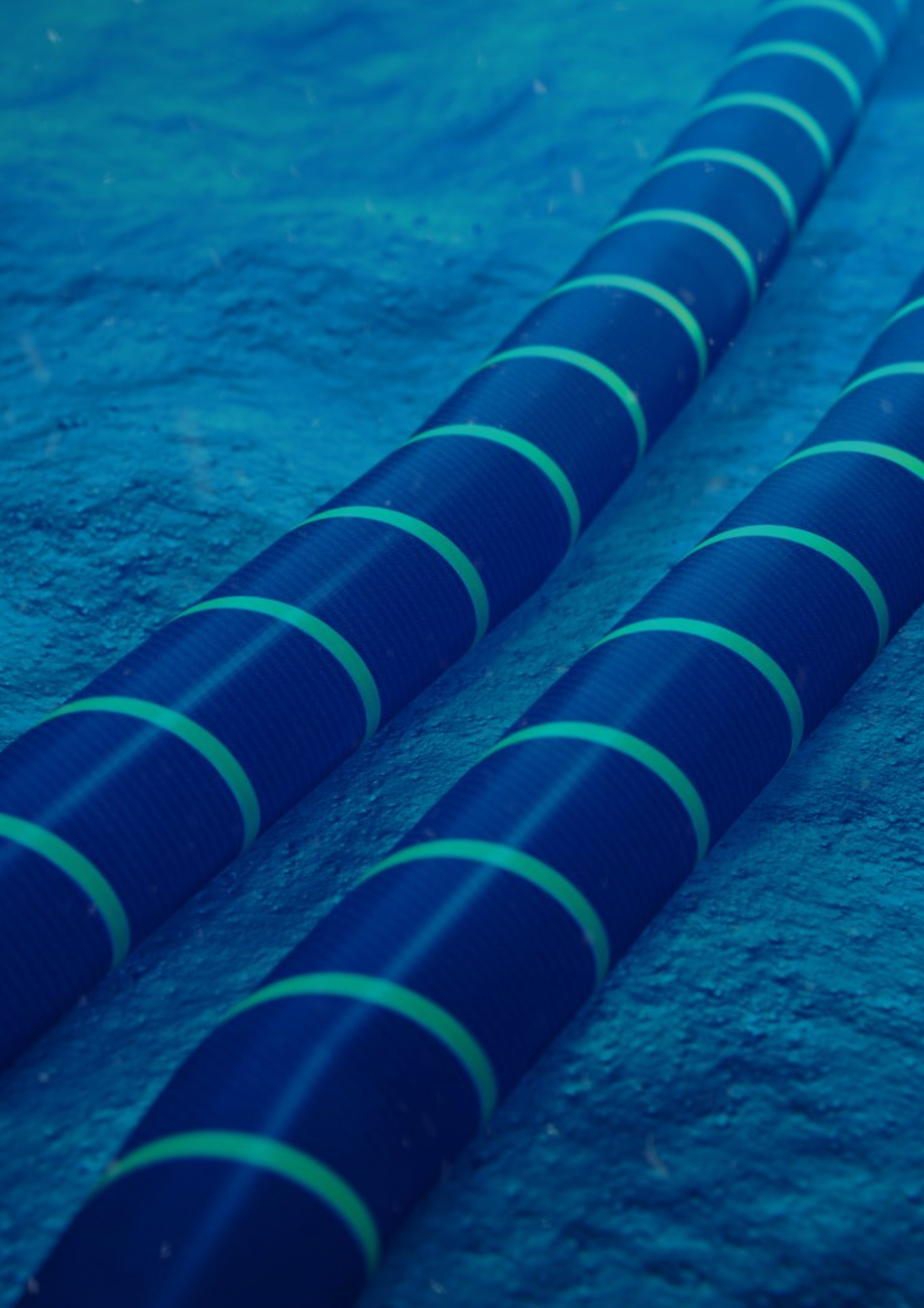 Risk Engineering Interconnector in Japan — Renew Risk