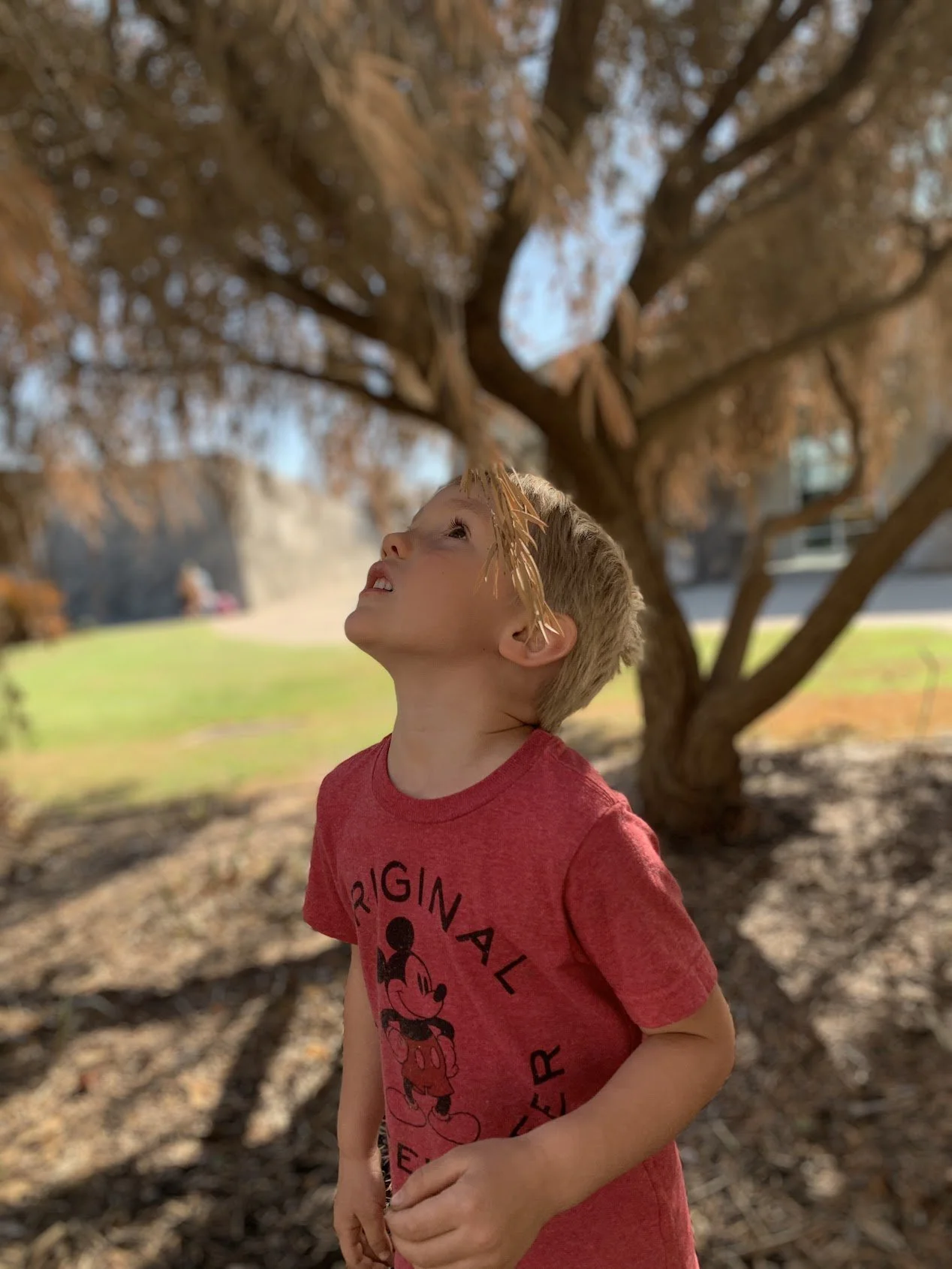 Summit Learning Academy LLC | Discover Faith-Based Learning Today