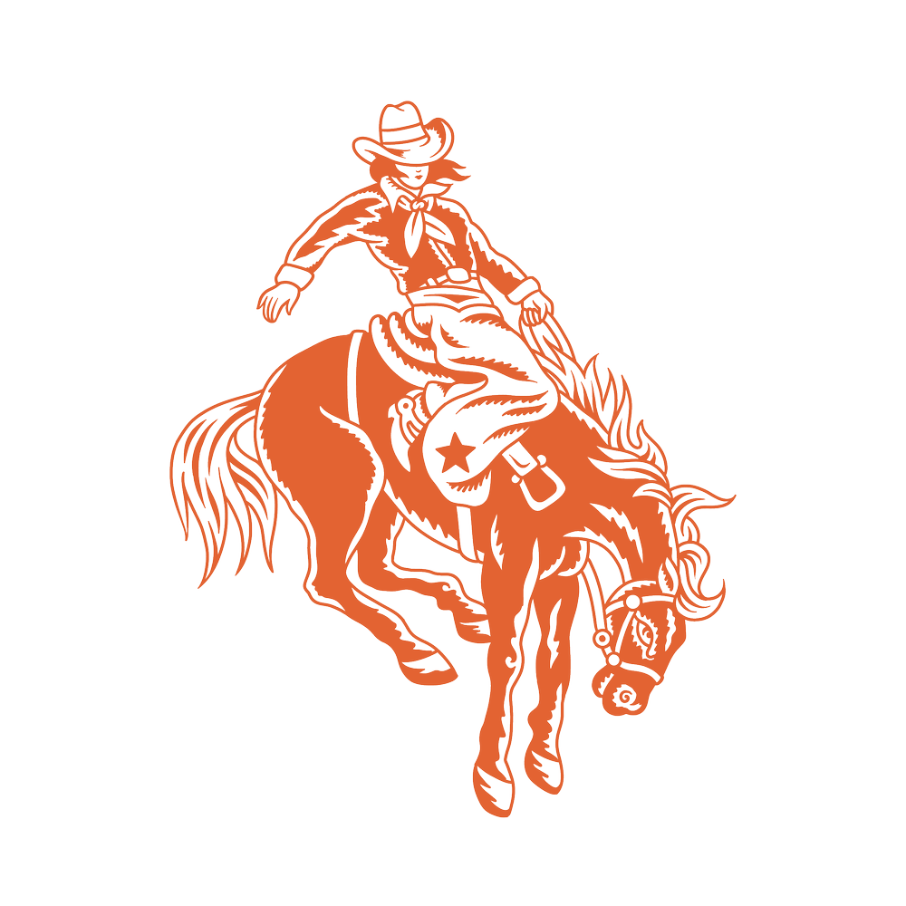 Boston Rodeo | PRCA Pro Rodeo & Country Festival