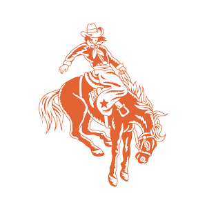 BOSTON RODEO | City Hall Plaza Events & Tickets — Boston Rodeo