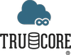 About TrueCore | Your Strategic Tech Partner — TrueCore