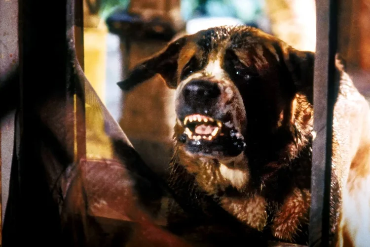 Every Upcoming Stephen King Adaptation: From Mike Flanagan’s 'Carrie ...