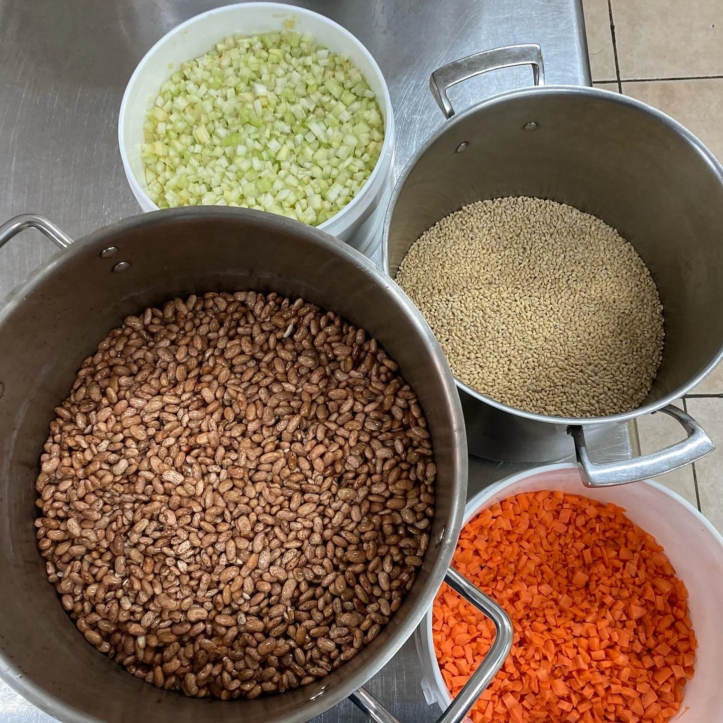 Processing Kitchen — The Urban Canopy