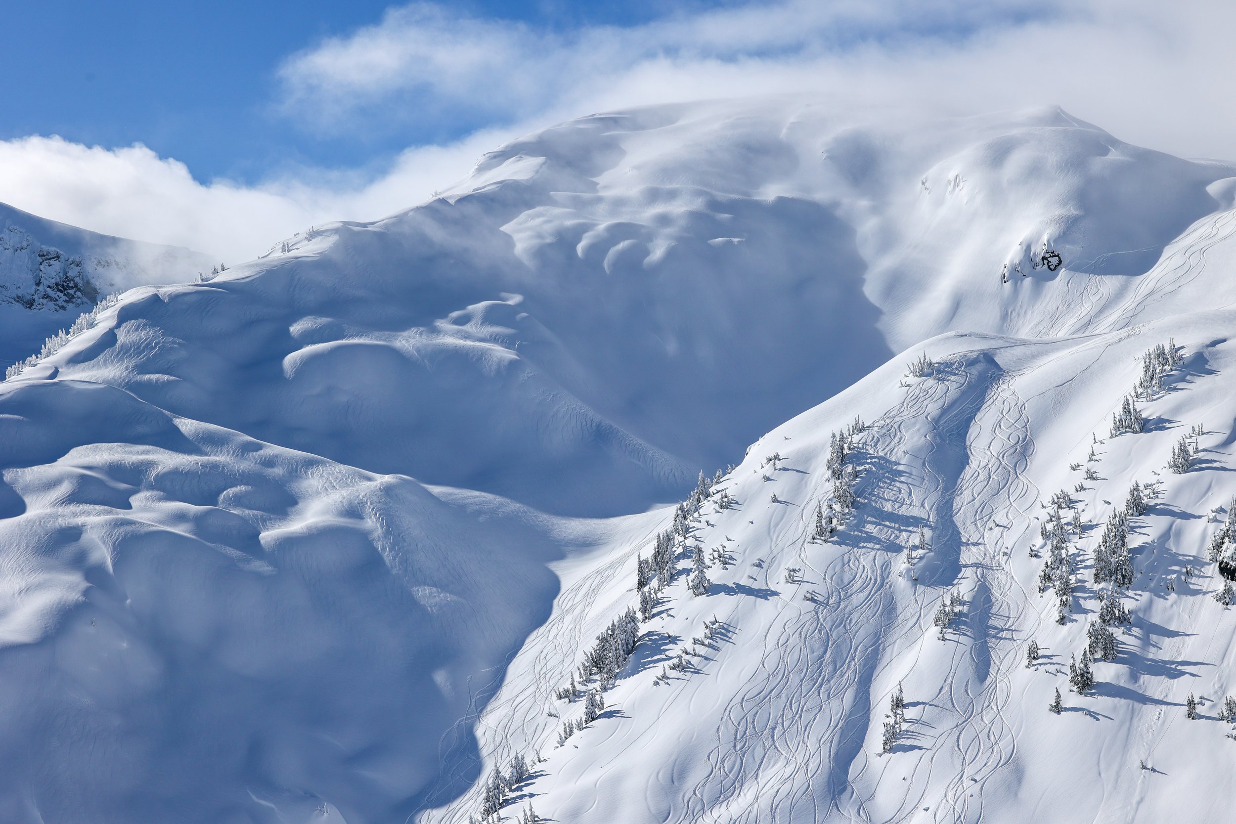 Powder Mountain Heli-Skiing & Cat-Skiing - Home