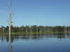 Fitzroy River Barramundi Charters | Gladstone Fly & Sportfishing ...