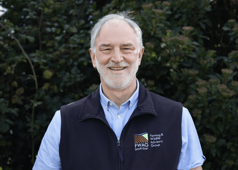 Meet the Team | FWAG South East — FWAG SE