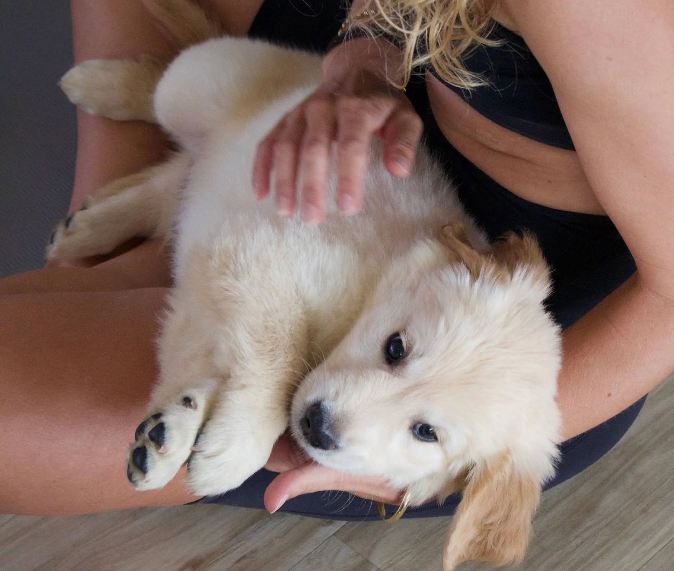 Puppy Pilates - Stretch, Relax & Play with Adorable Pups
