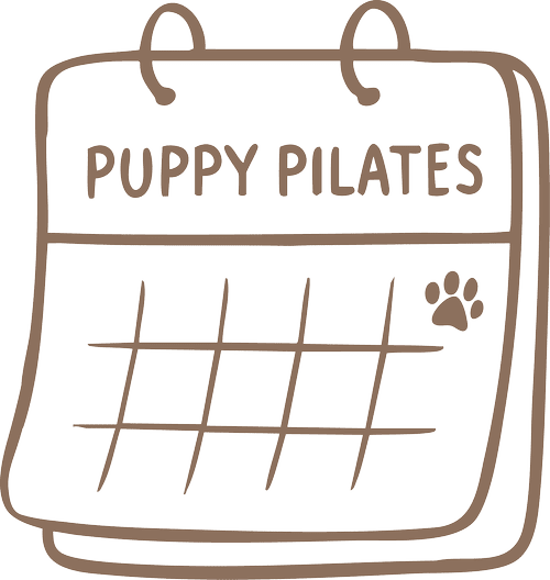 Puppy Pilates - Stretch, Relax & Play with Adorable Pups