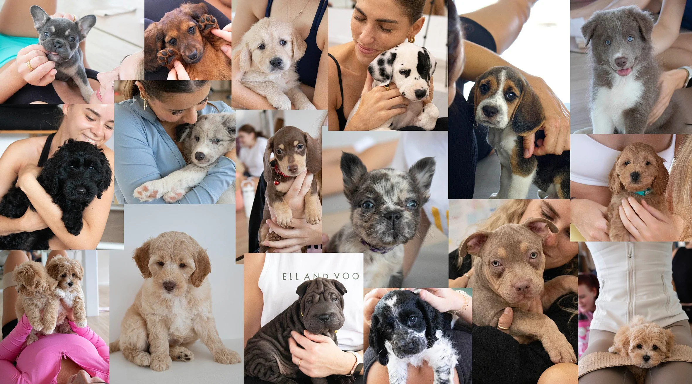Puppy Pilates - Stretch, Relax & Play with Adorable Pups