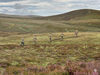 Luggala Estate | Ireland’s Natural Heritage