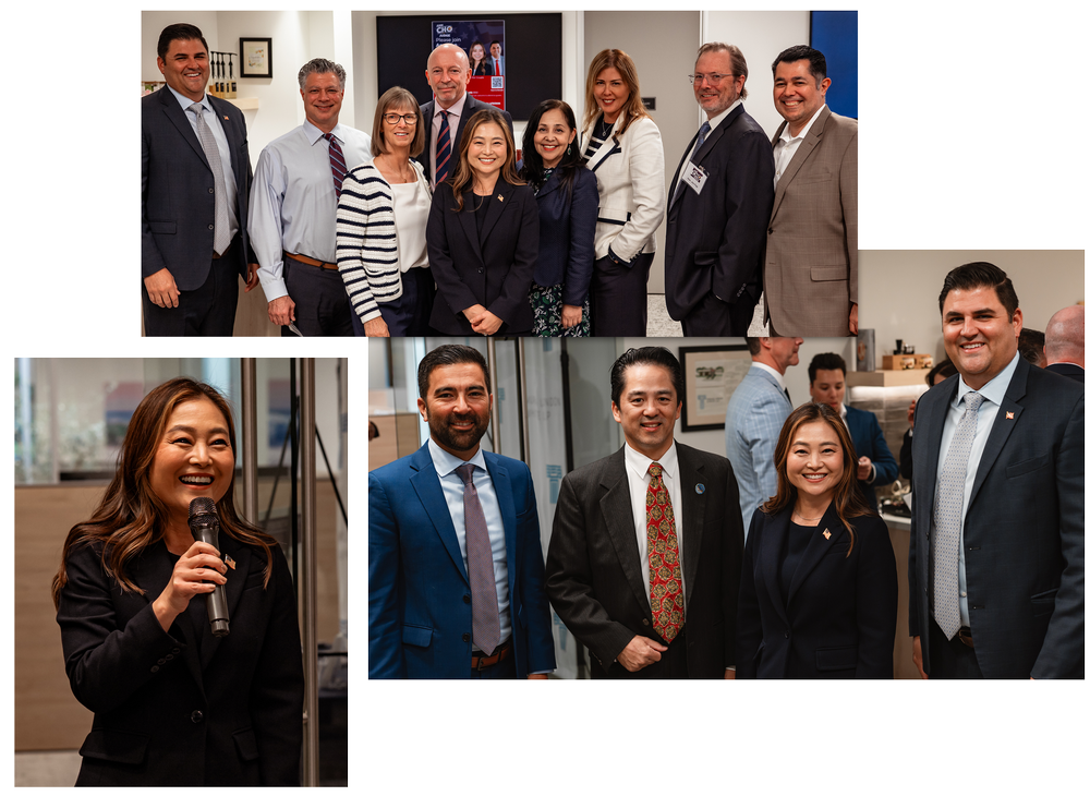 Ann Cho for Judge